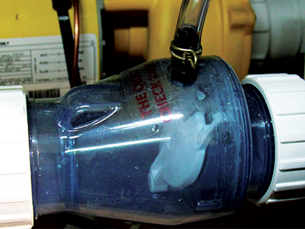 Coast Spas Cascade II