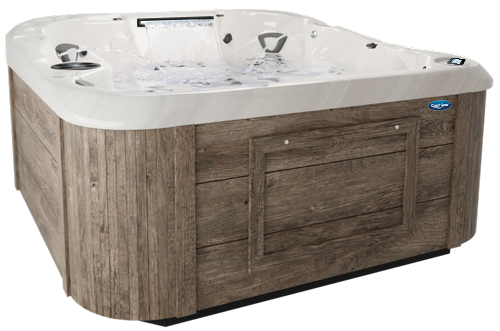 Coast Spas Model Apex L Curve